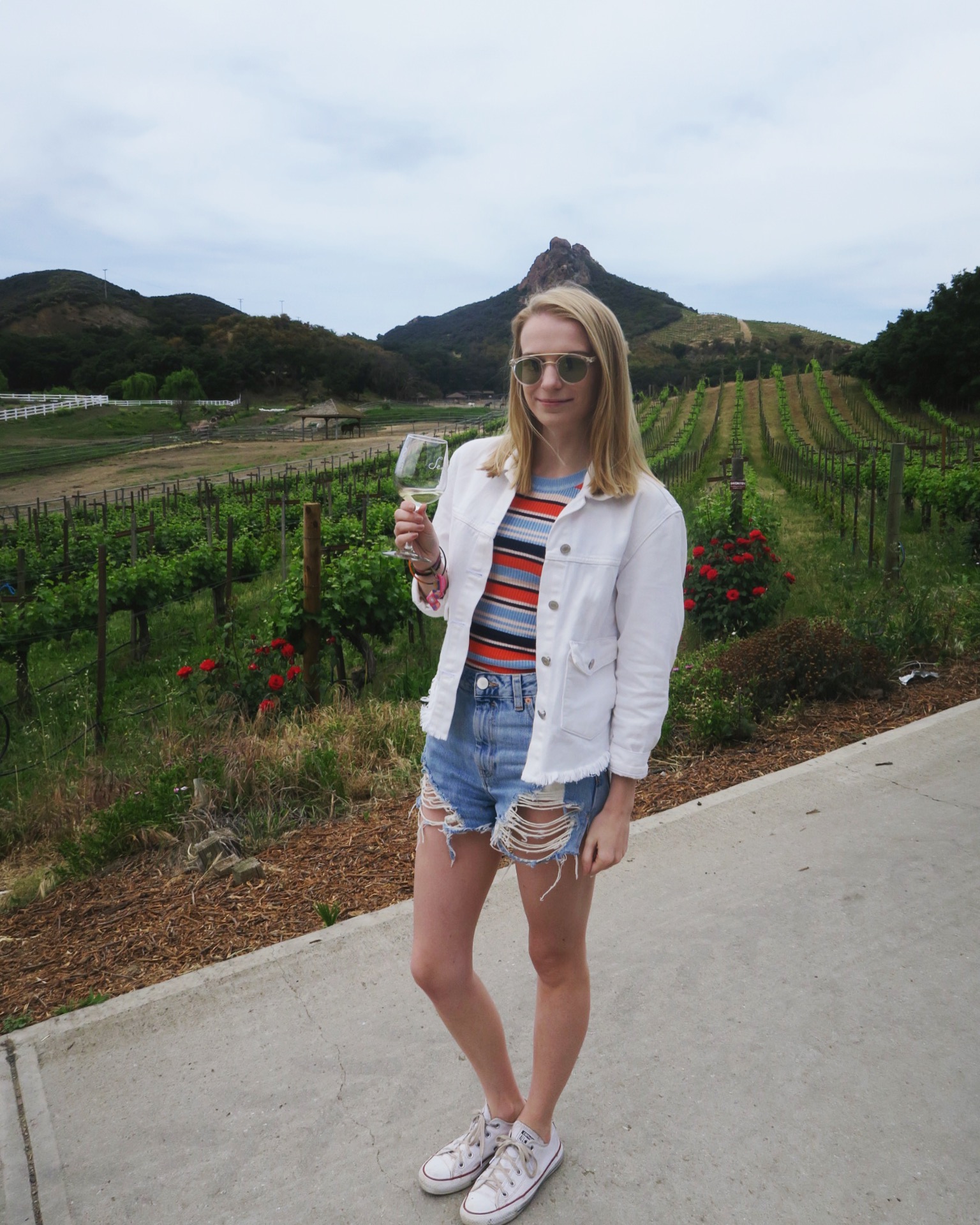 Wine tasting in Malibu with Giraffes! Malibu Wine Safaris – Gemma Goes ...