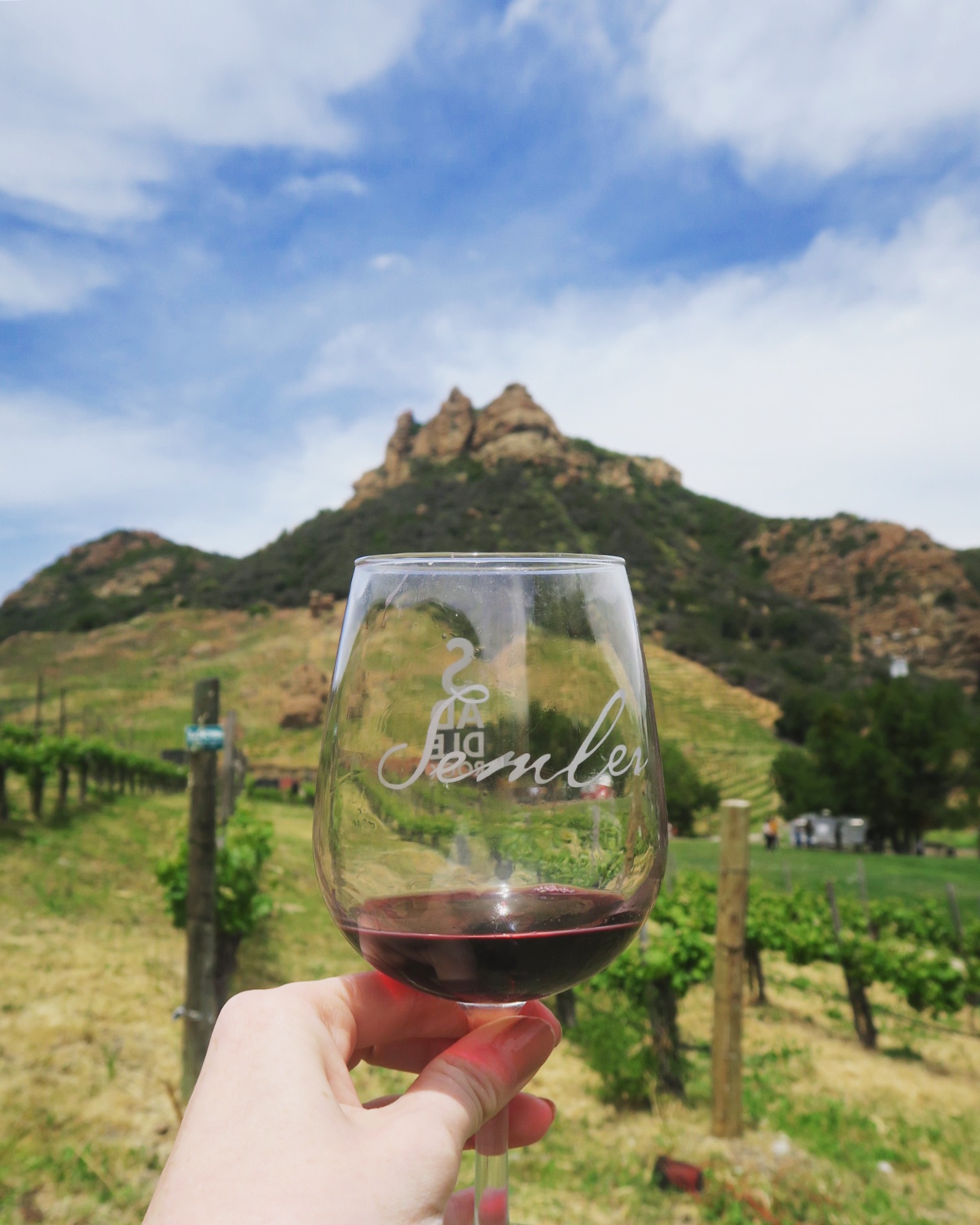 Wine tasting in Malibu with Giraffes! Malibu Wine Safaris – Gemma Goes ...