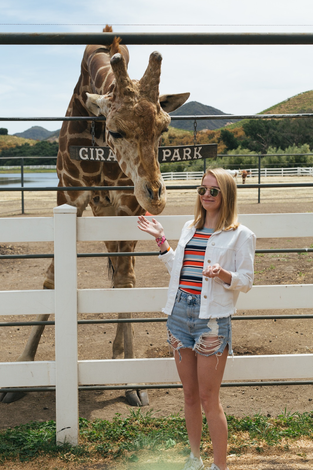 Wine tasting in Malibu with Giraffes! Malibu Wine Safaris – Gemma Goes ...