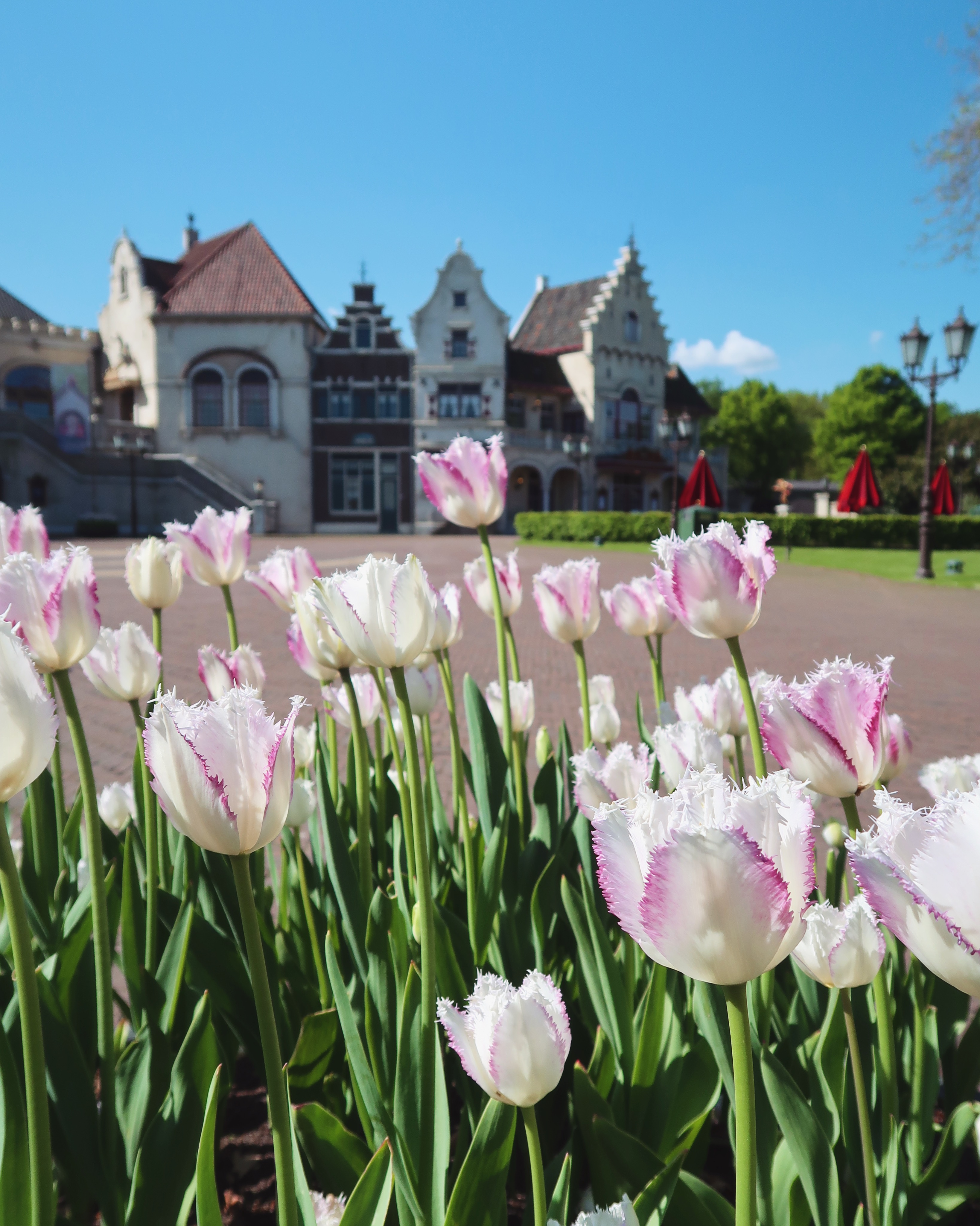A fairytale weekend at Efteling Theme Park Resort – Gemma Goes Global