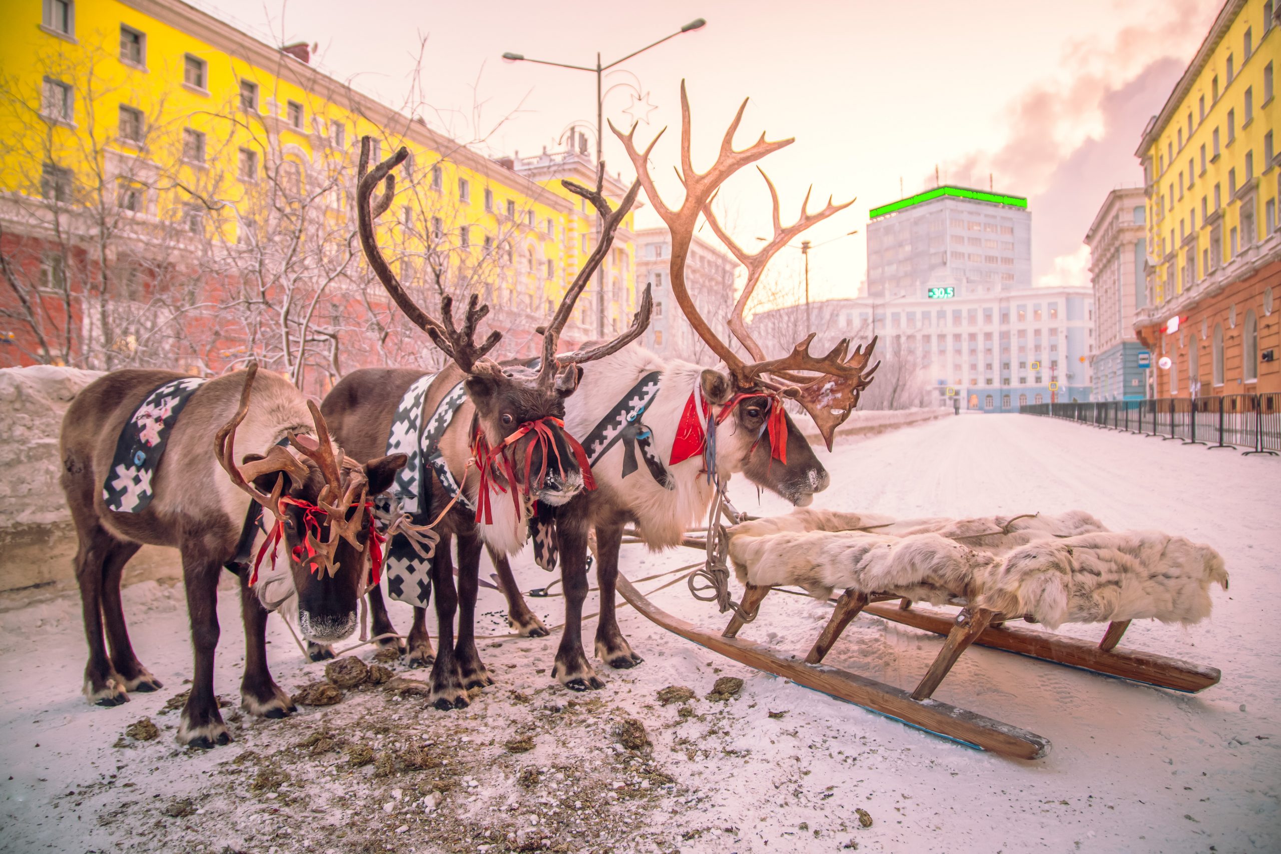 Ethnic Groups in Russia: Life on the edge of the world – Gemma Goes Global
