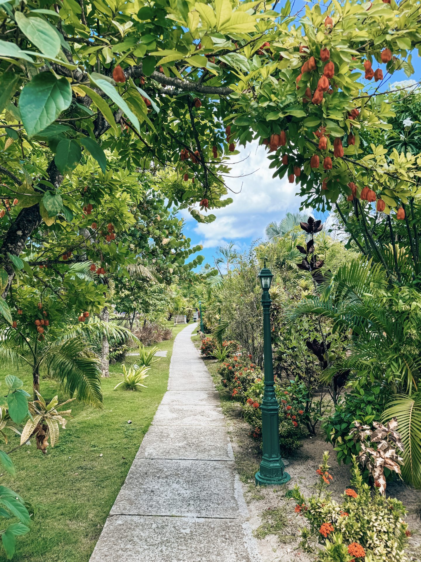 Laidback Luxury at Galley Bay Resort Review – Gemma Goes Global